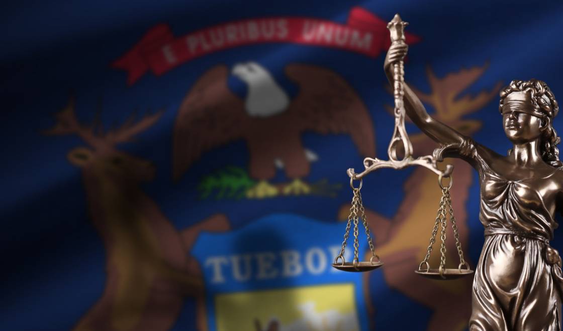Abortion in Michigan | Profemina